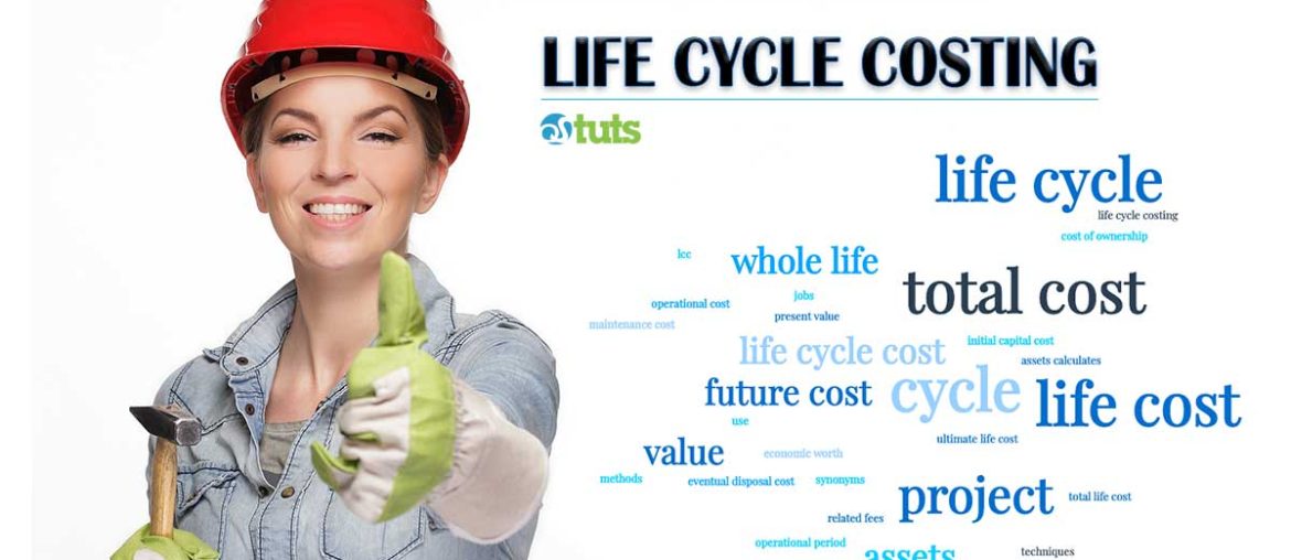 Life Cycle Costing In Construction: Benefits, Formula & More